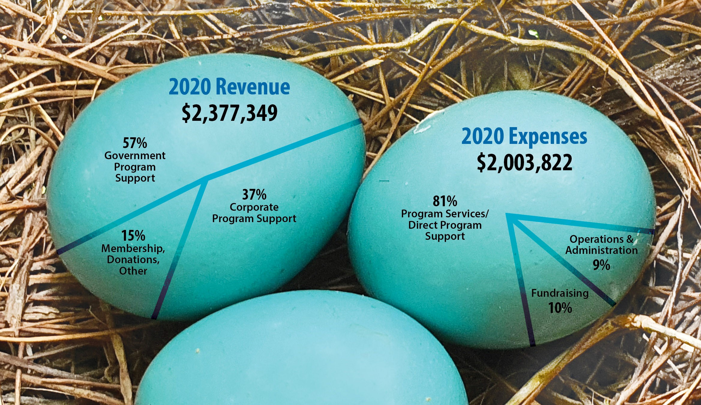 Financial Information – Trees Forever