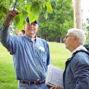 Understanding Tax-Exempt Status – Trees Forever