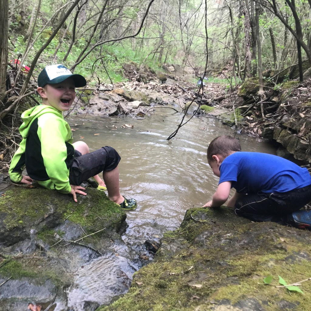 Trees Forever – Planting a Better Tomorrow!
