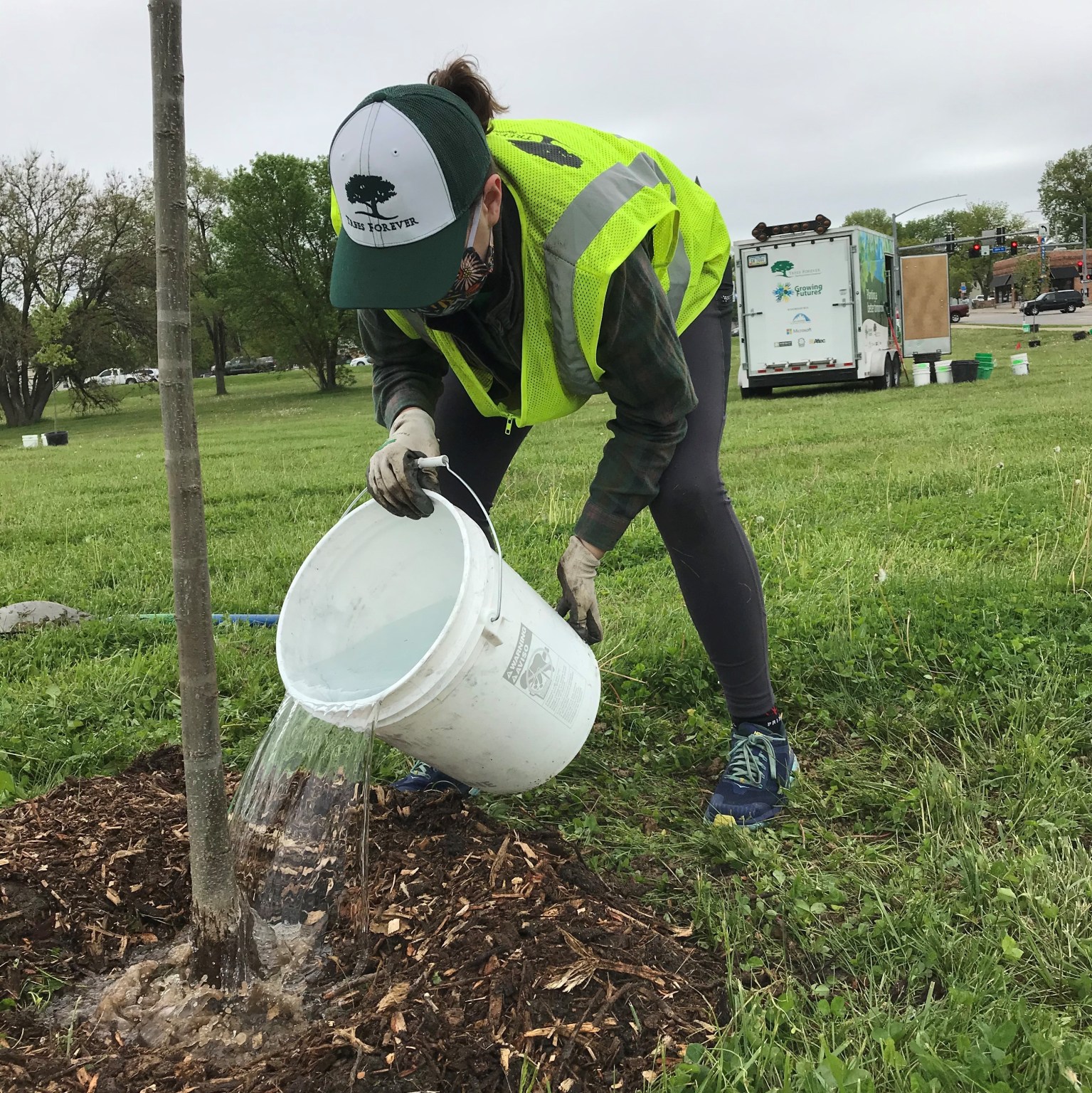 Trees Forever – Planting a Better Tomorrow!