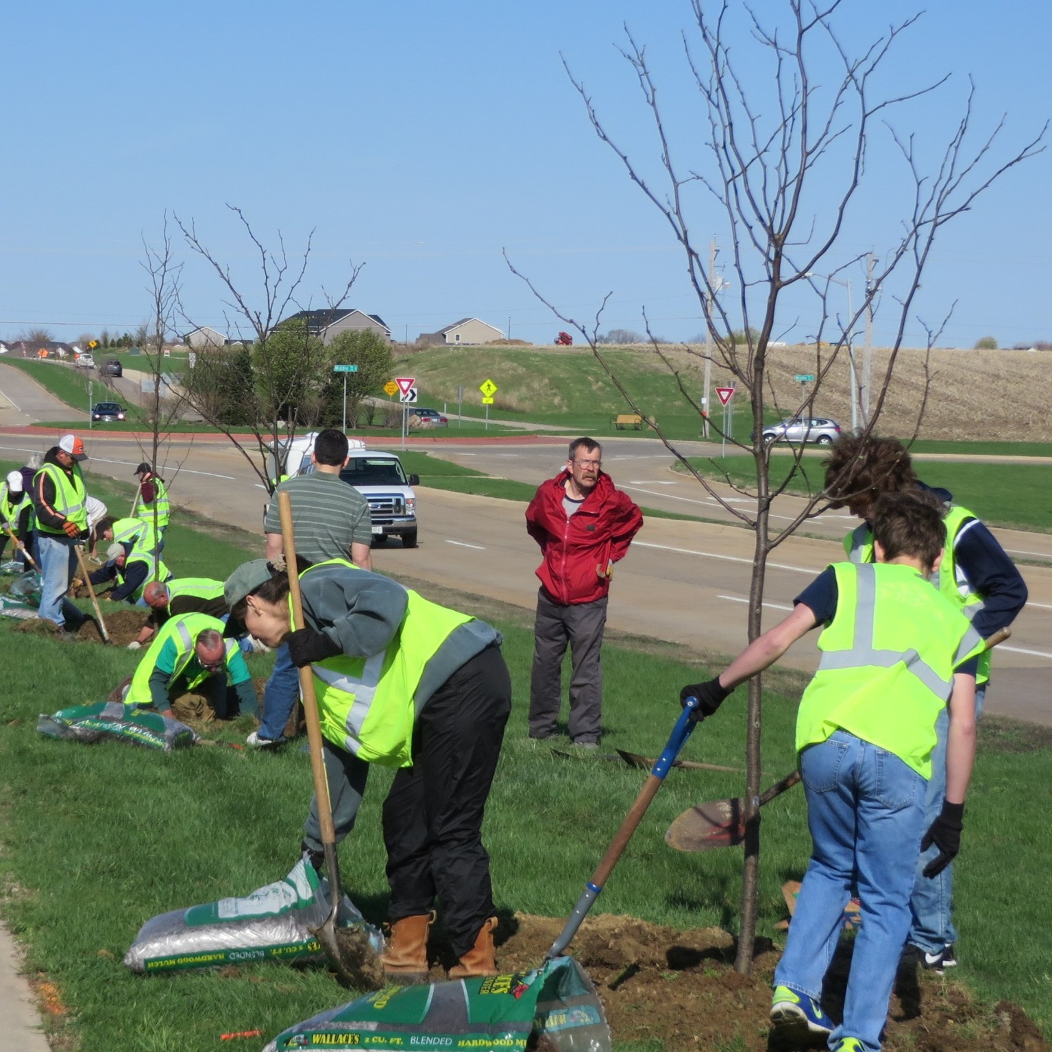 Trees Forever – Planting a Better Tomorrow!