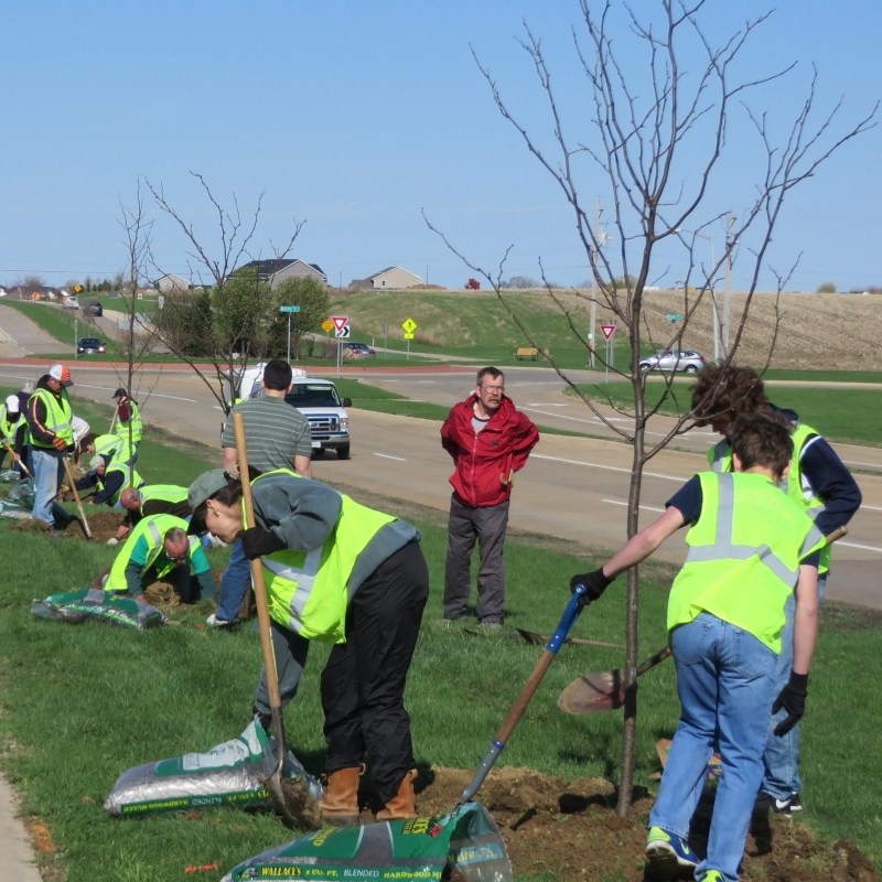Trees Forever – Planting a Better Tomorrow!