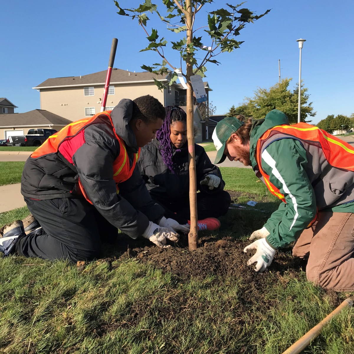 Get Involved – Trees Forever