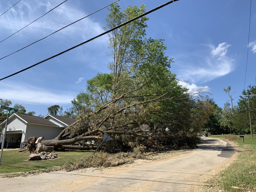 ReLeaf Cedar Rapids – Trees Forever