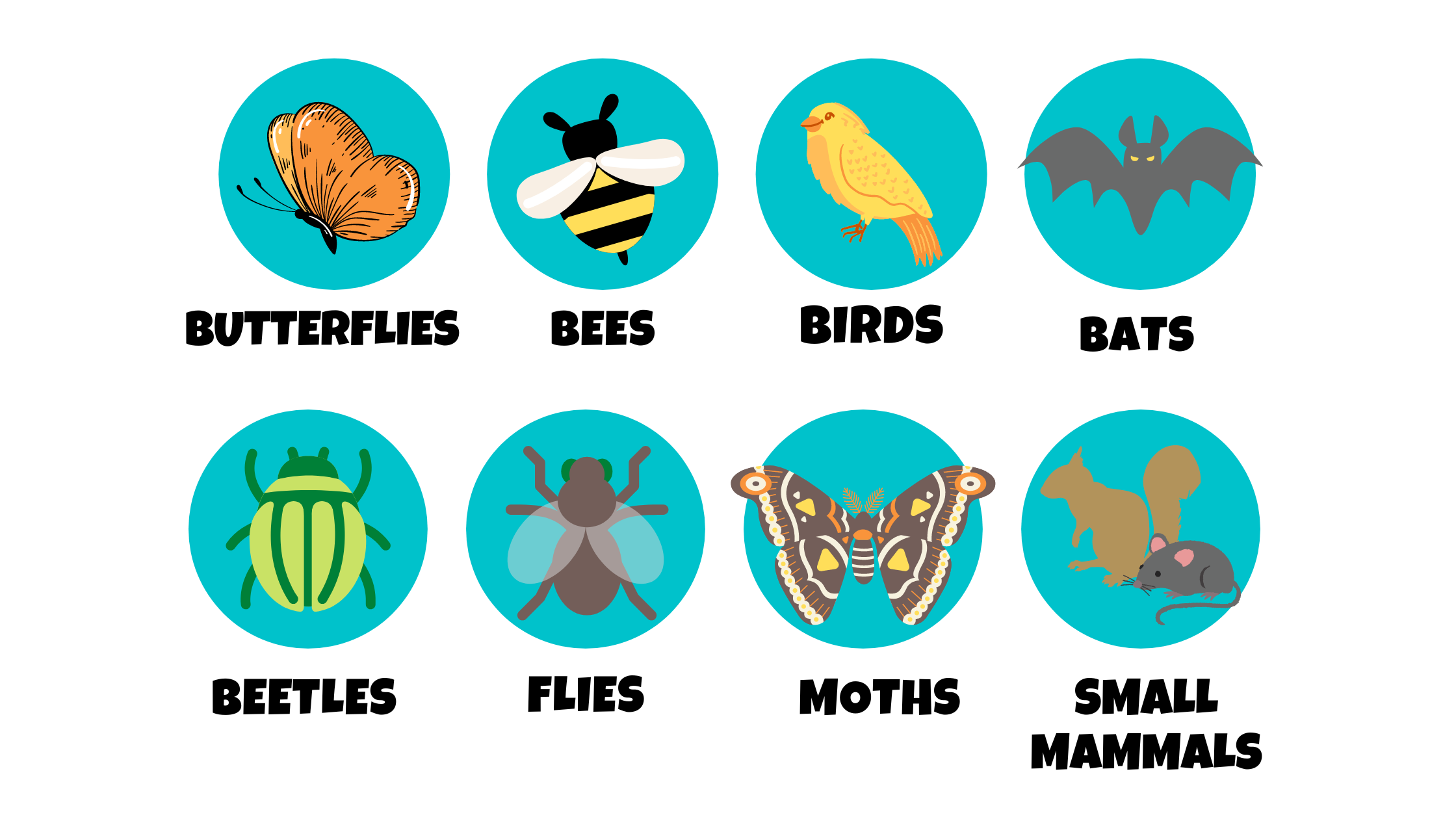 What in Pollination?! – Trees Forever