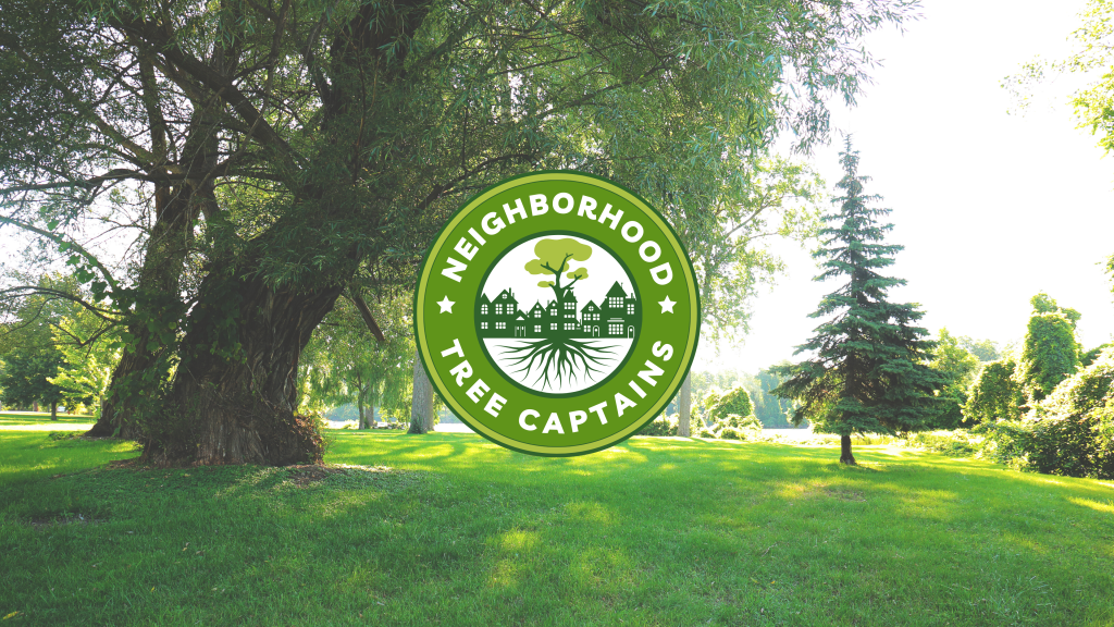 NTC Application – Trees Forever