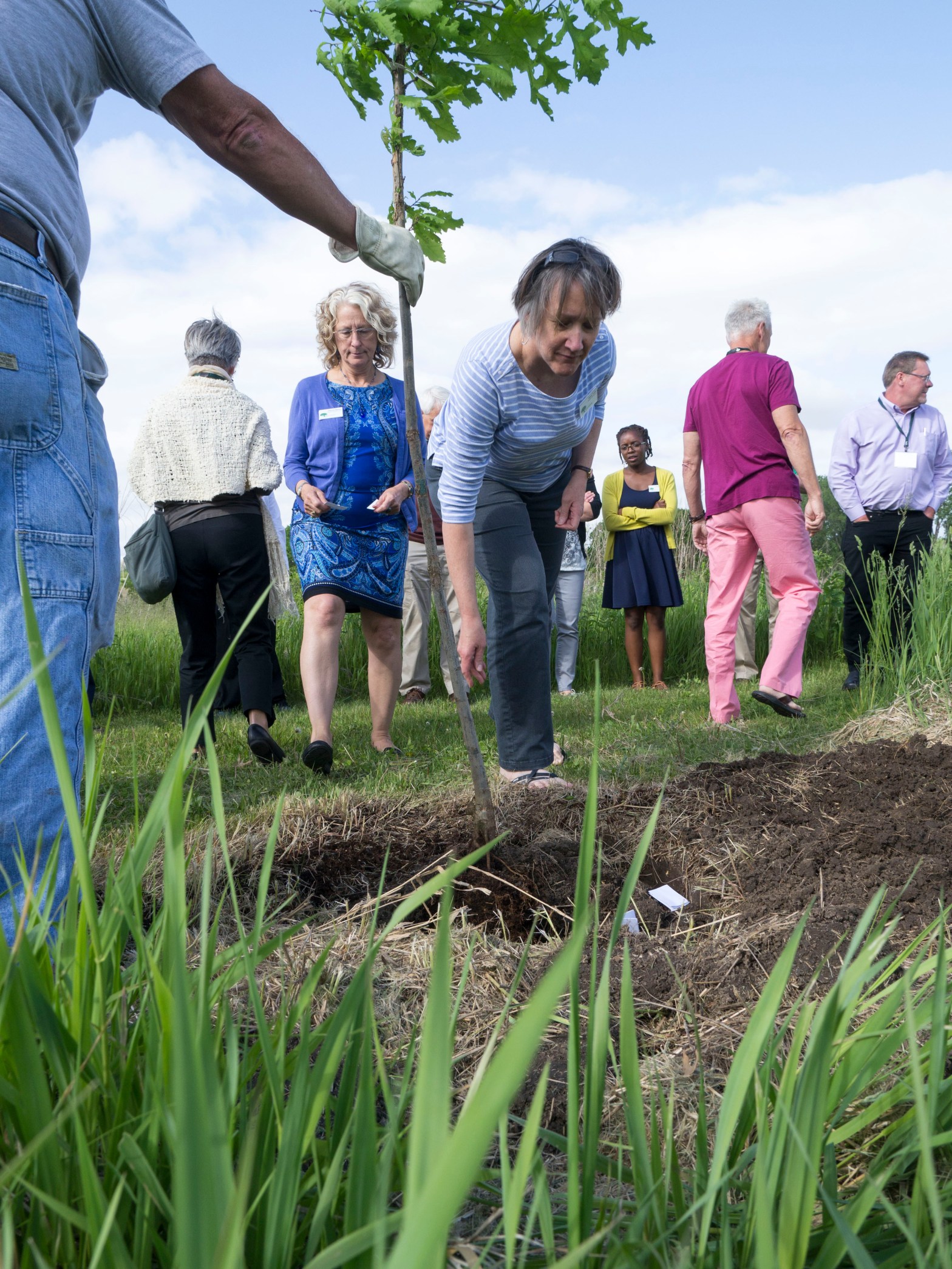 Memorial Planting at Wanatee Park – Trees Forever