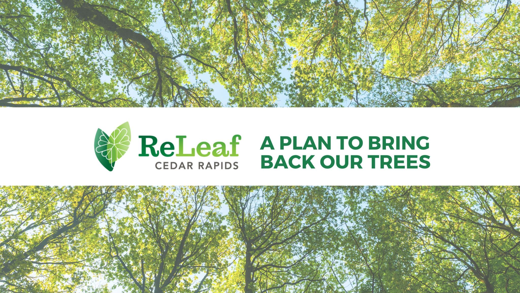 ReLeaf Cedar Rapids – Trees Forever