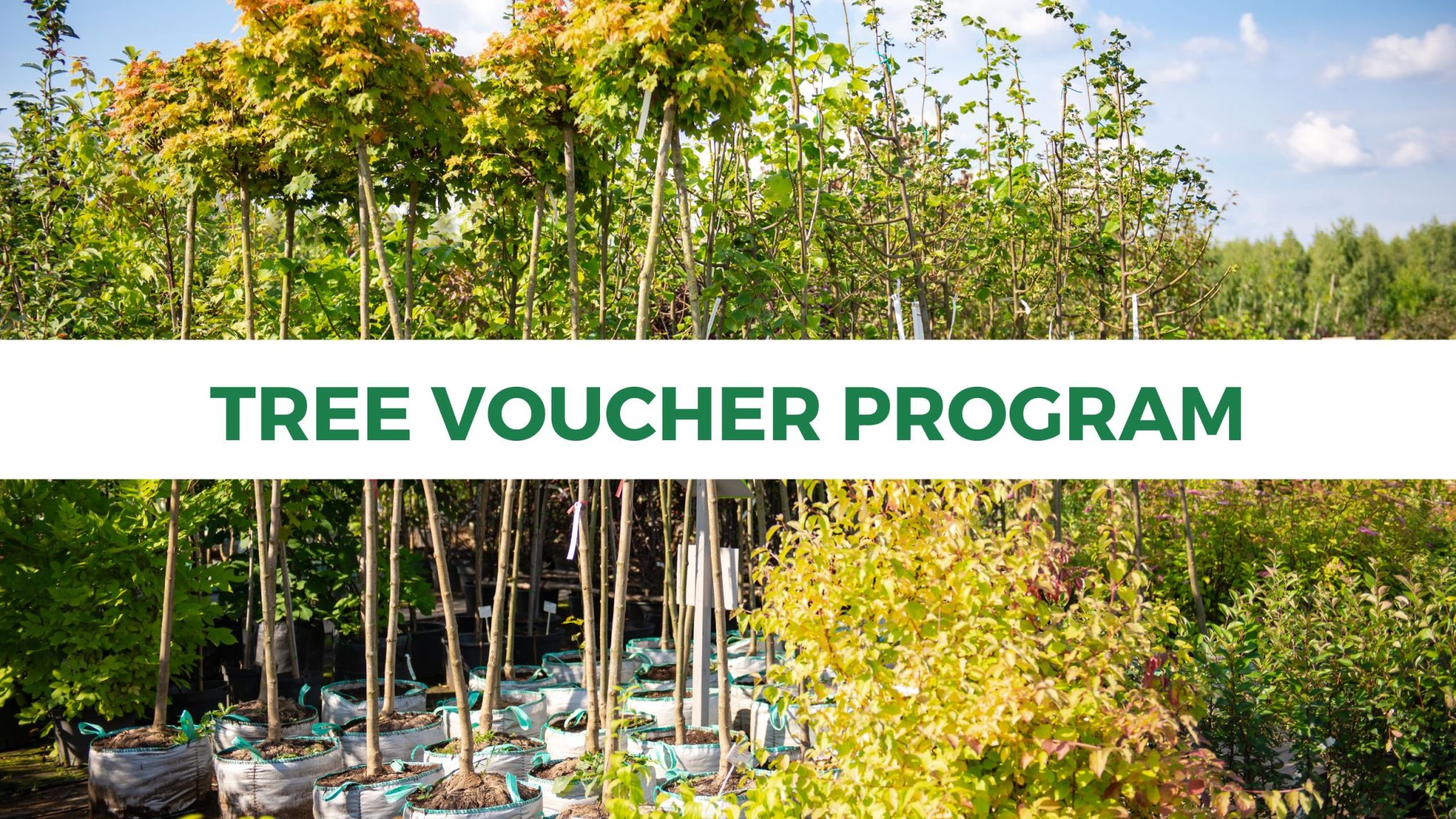 Voucher Program – Trees Forever