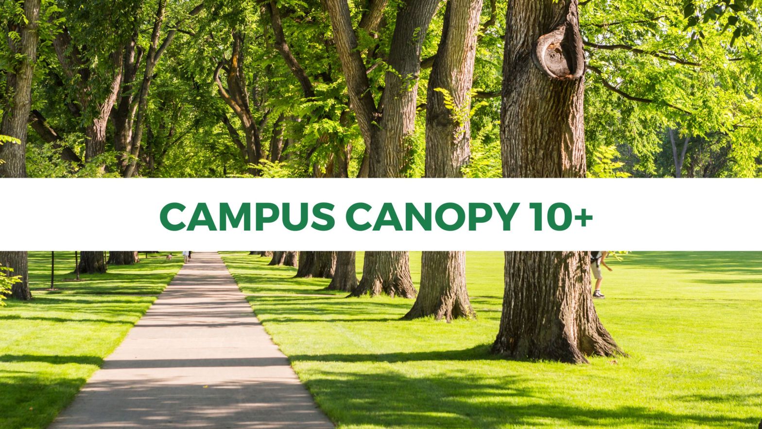 Campus Canopy 10+ – Trees Forever