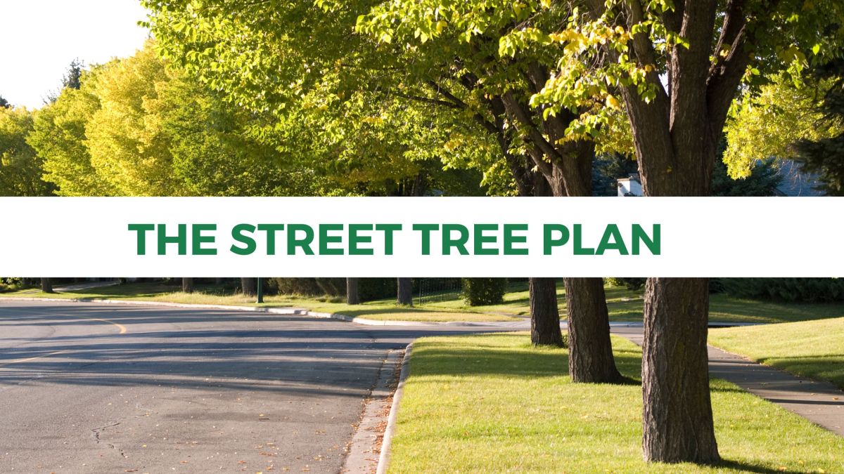 Street Tree Plan – Trees Forever