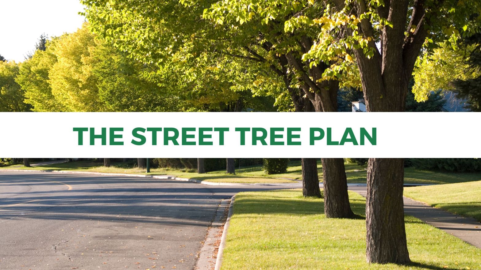 Street Tree Plan – Trees Forever