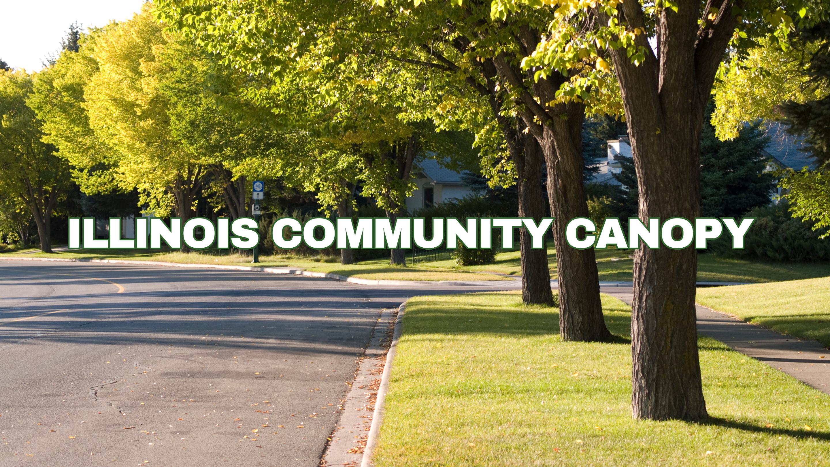 Illinois Community Canopy – Trees Forever