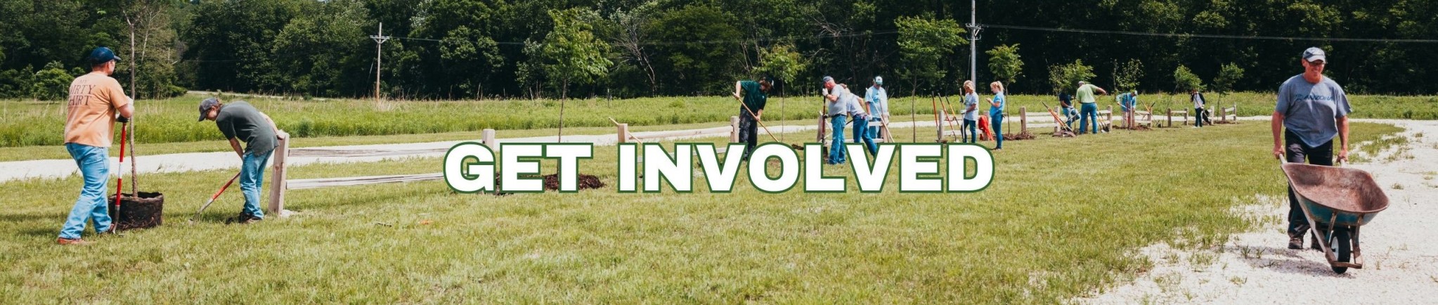 Get Involved – Trees Forever