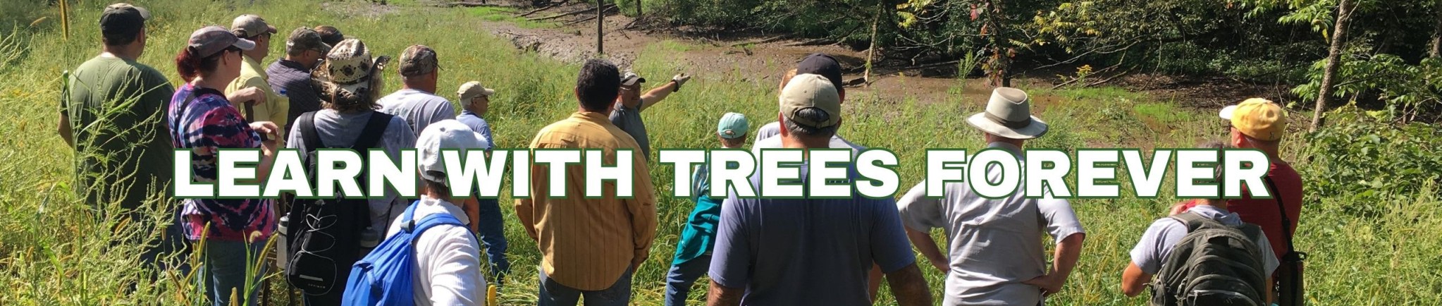 Learn – Trees Forever