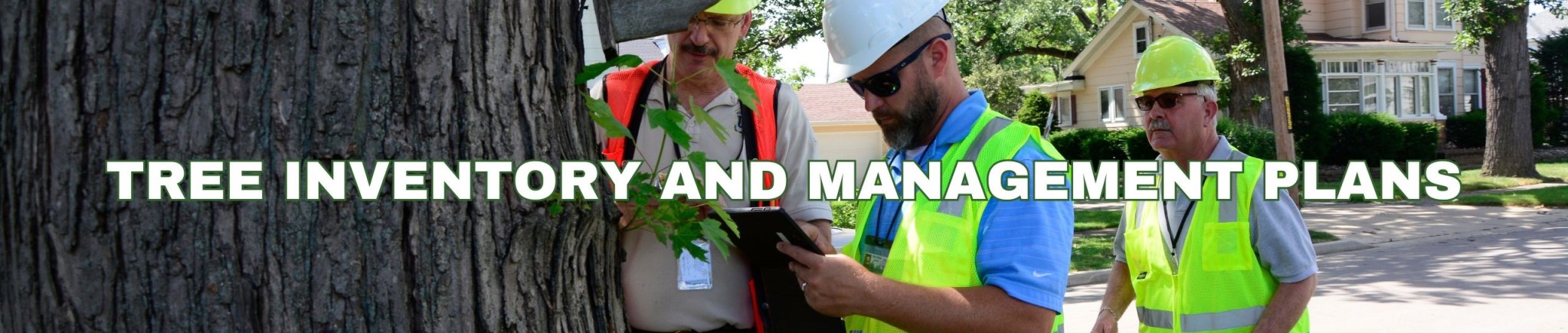 ICC Tree Inventories – Trees Forever