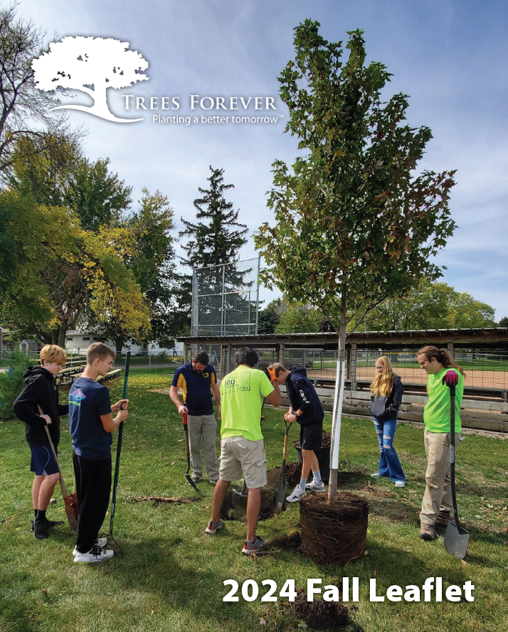 2024 Fall Leaflet – Trees Forever