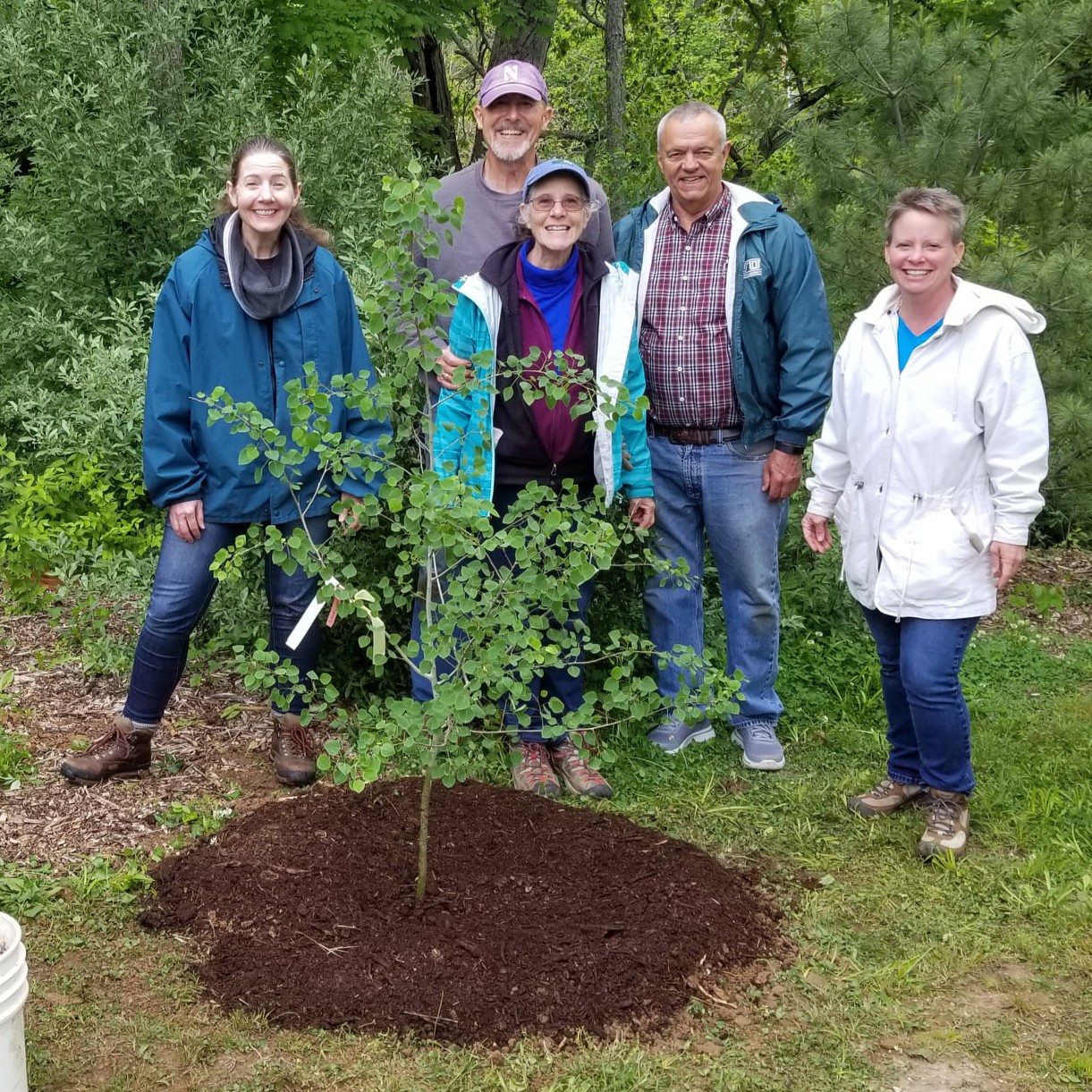 Illinois Community Forestry – Trees Forever