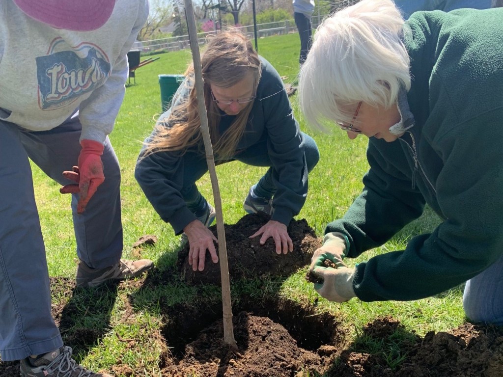 TreeKeepers – Trees Forever