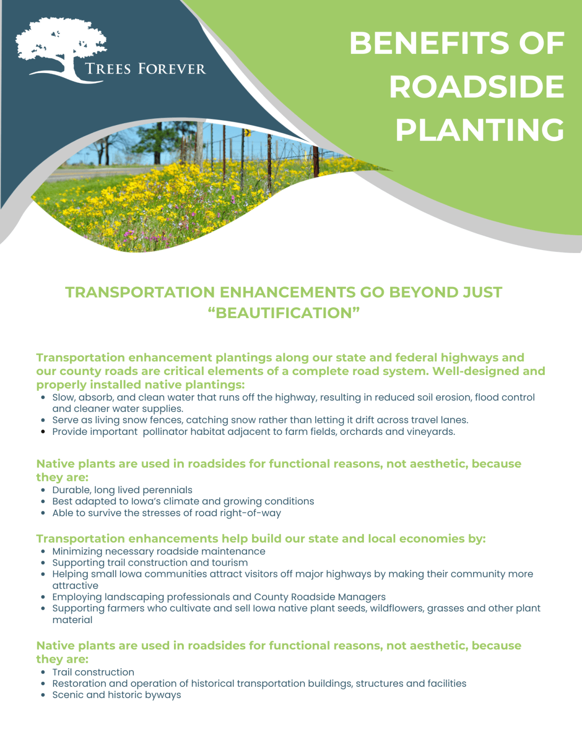 Benefits of Roadside Planting – Trees Forever