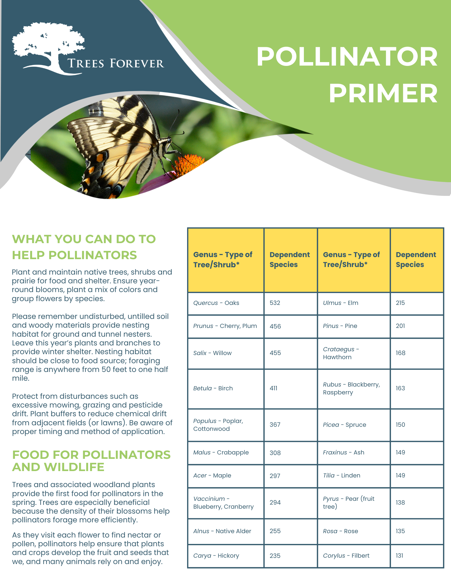 Pollinator Primer – Trees Forever