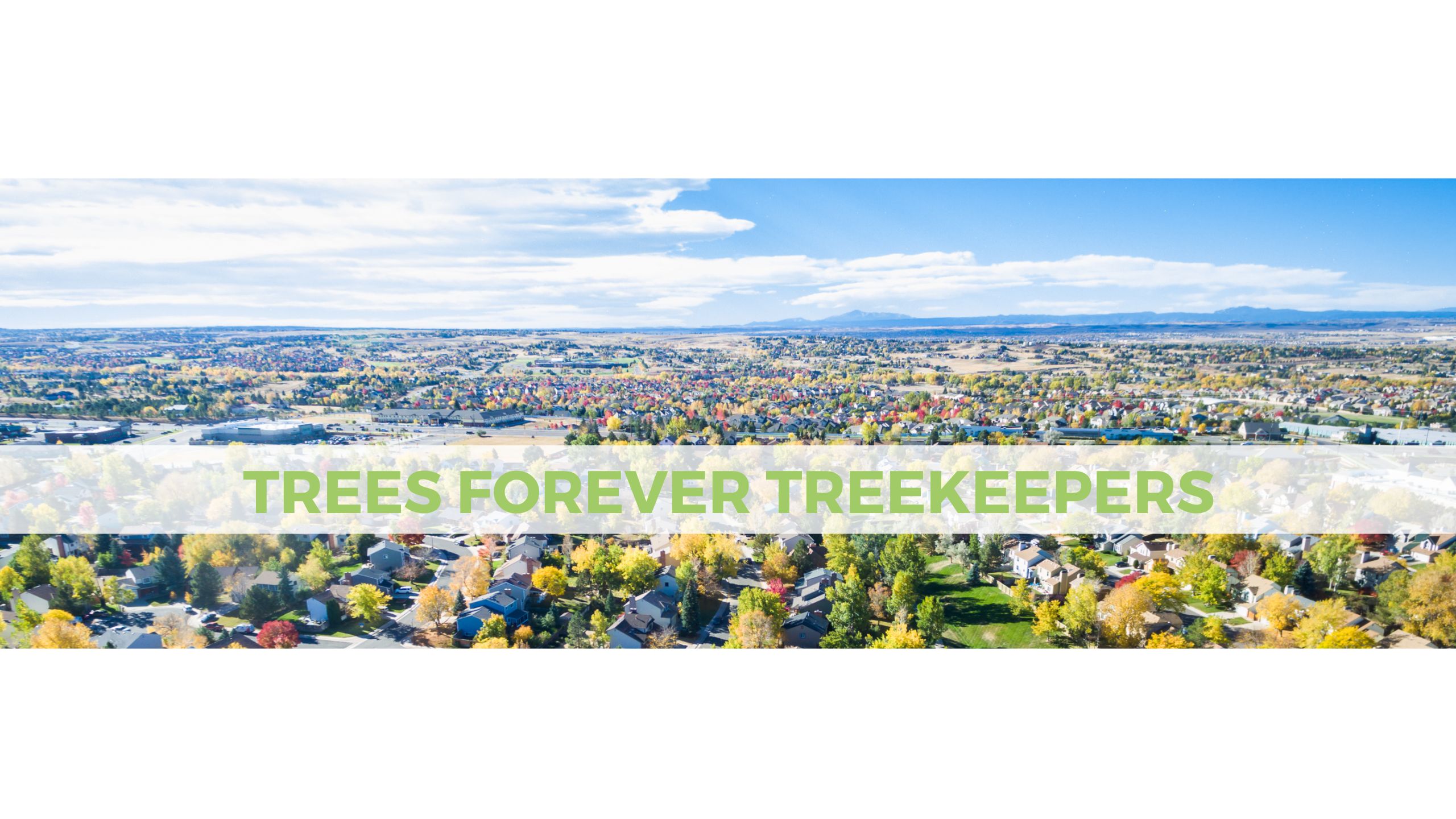 TreeKeepers – Trees Forever